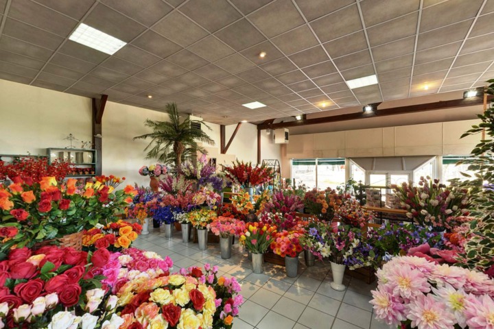 Le Val Fleuri - Fleurieu sur Saône (69)